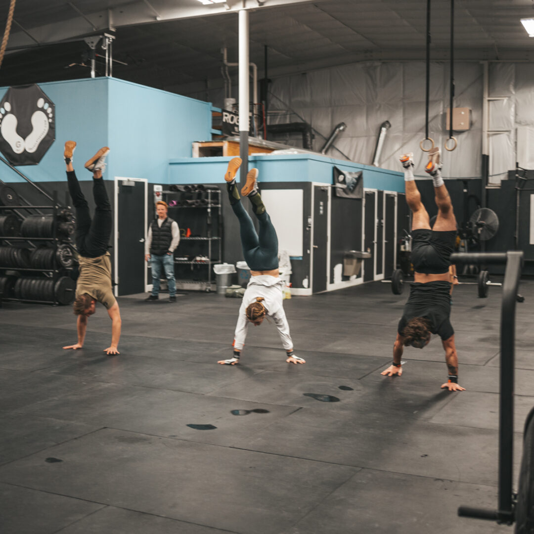 Memberships Luminary Fitness